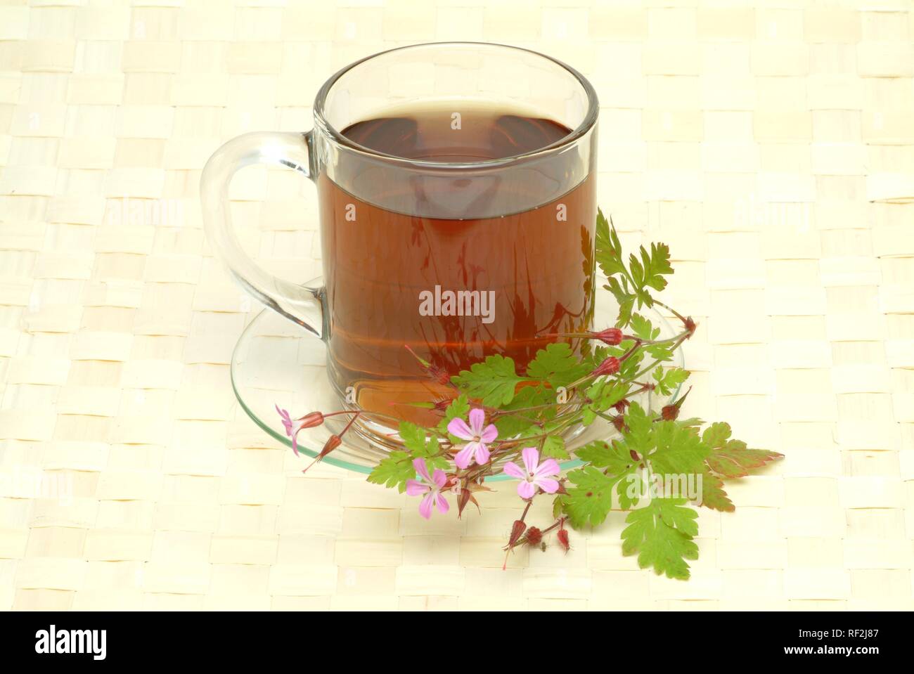 Geranium infusion hi-res stock photography and images - Alamy