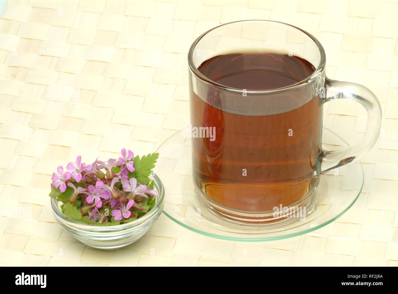 Still life with geranium hi-res stock photography and images - Alamy