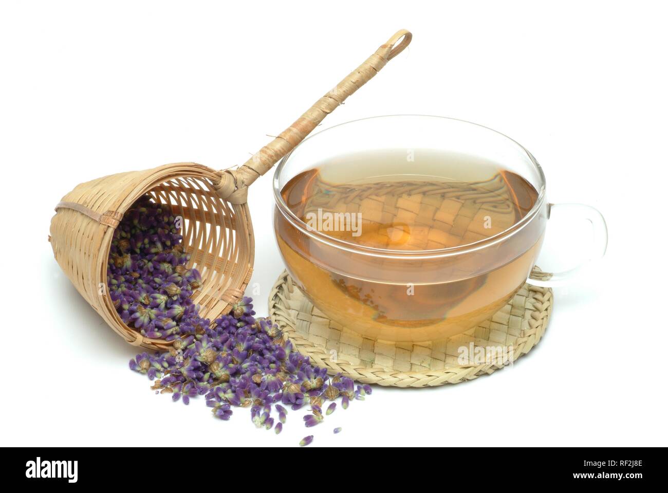 Lavender (Lavendula), herbal tea, medicinal tea Stock Photo - Alamy