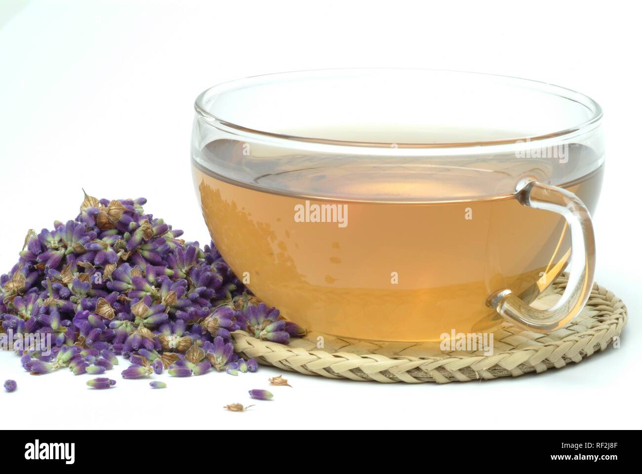 Lavendula hi-res stock photography and images - Alamy