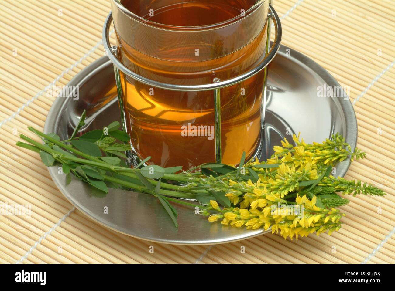 Melilot or Sweet Clover (Melilotus), herbal tea Stock Photo - Alamy