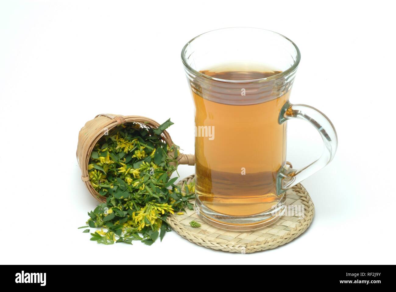 Melilot or Sweet Clover (Melilotus), herbal tea Stock Photo - Alamy