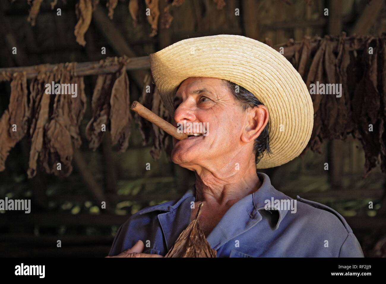 Farmer smoking hi-res stock photography and images - Alamy