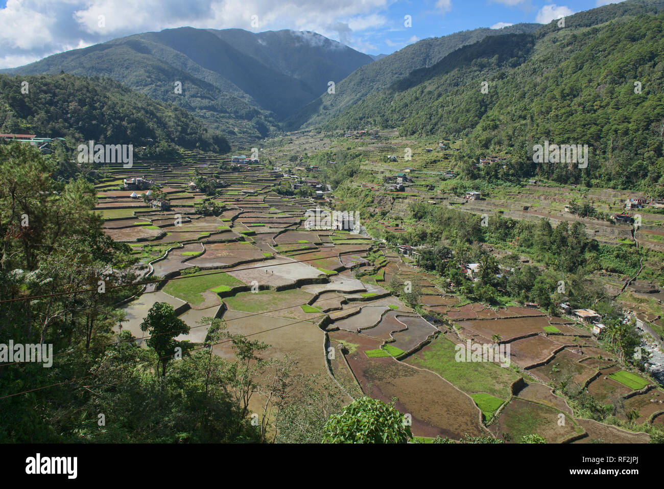 The beautiful UNESCO rice terraces in Hapao, Banaue, Mountain Province ...