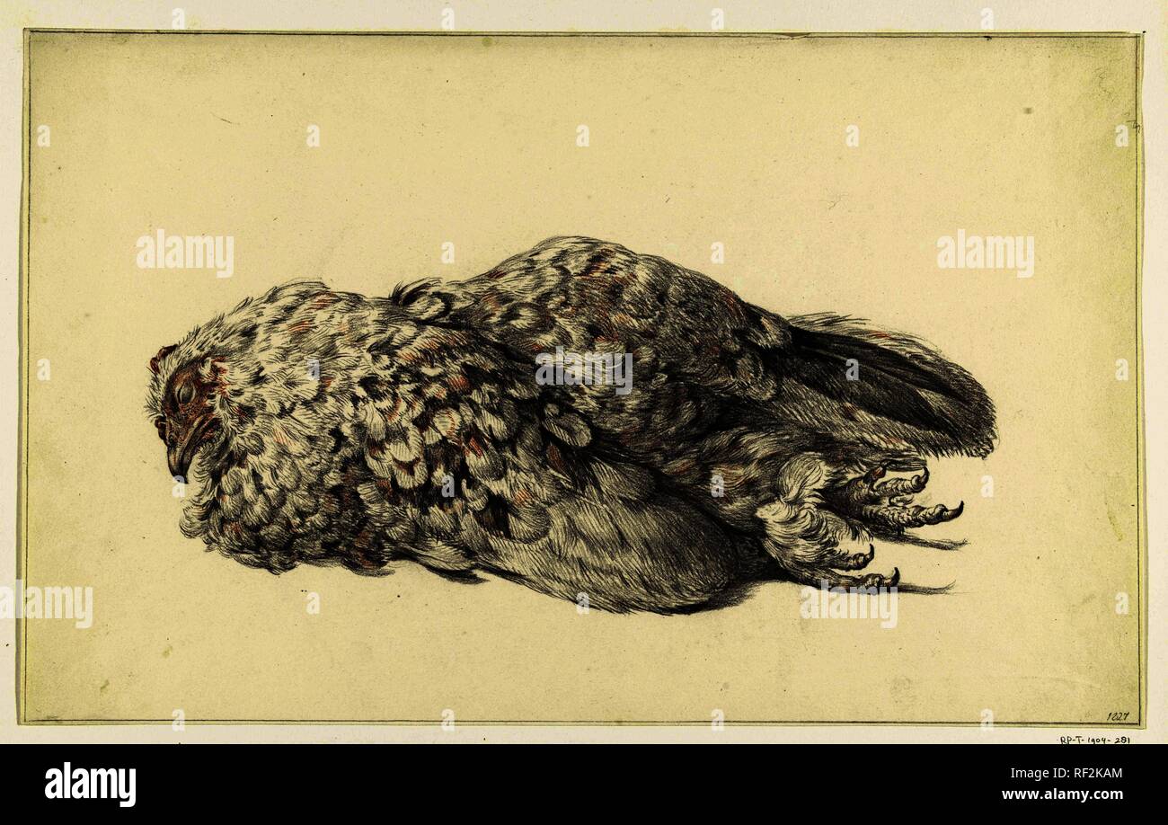 Dead chicken drawing hi-res stock photography and images - Alamy