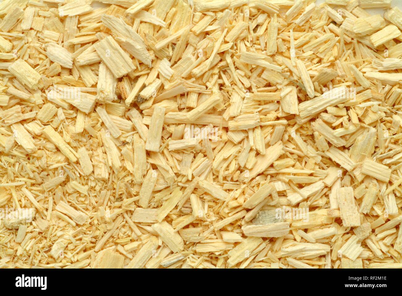 Quassia hi-res stock photography and images - Alamy