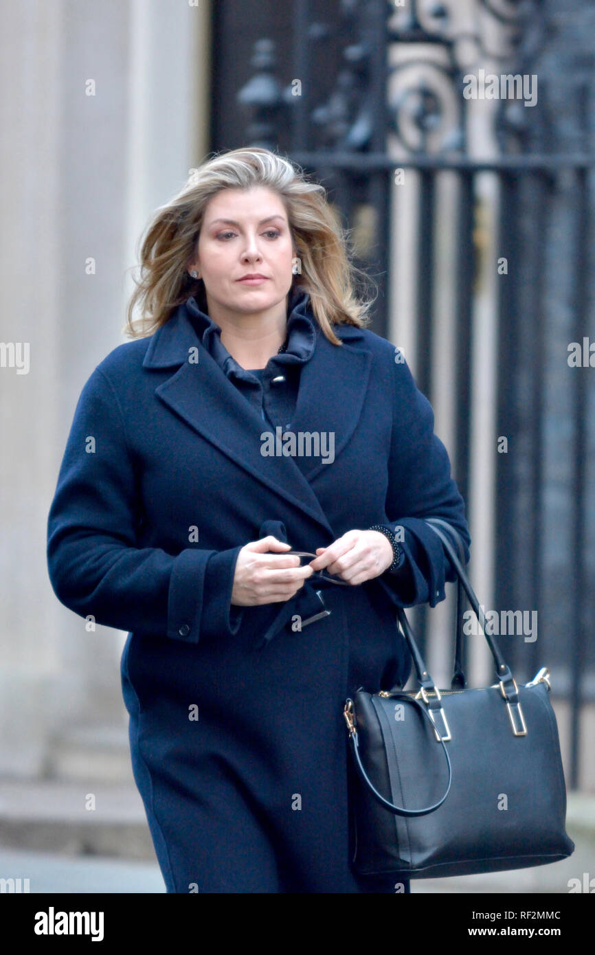 Penny Mordaunt MP (Secretary of State for International Development ...