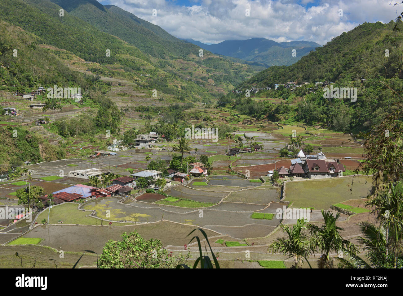 The beautiful UNESCO rice terraces in Hapao, Banaue, Mountain Province ...