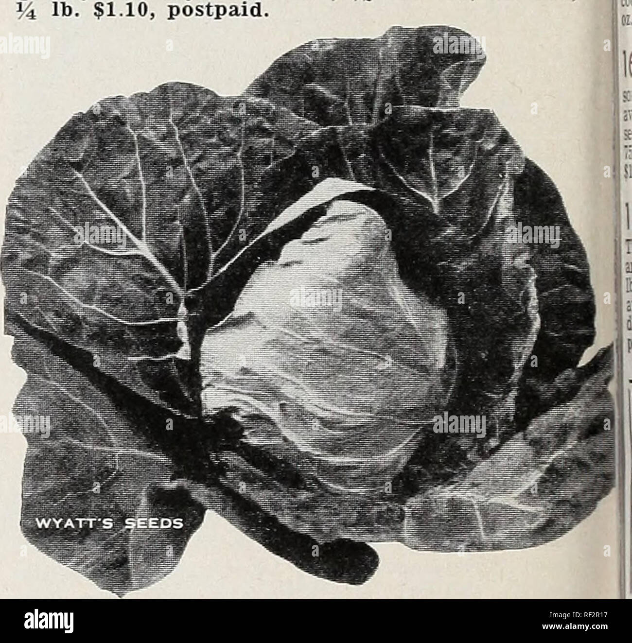 . [Catalog] : spring 1959. Nurseries (Horticulture) North Carolina ...