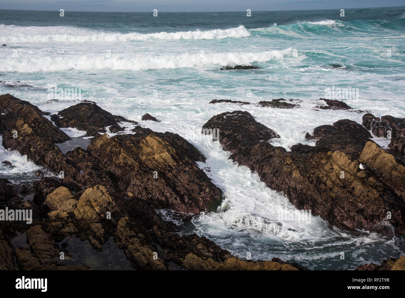 Rocky shore line, waves and beach scene on the Monterrey Peninsula. The ...