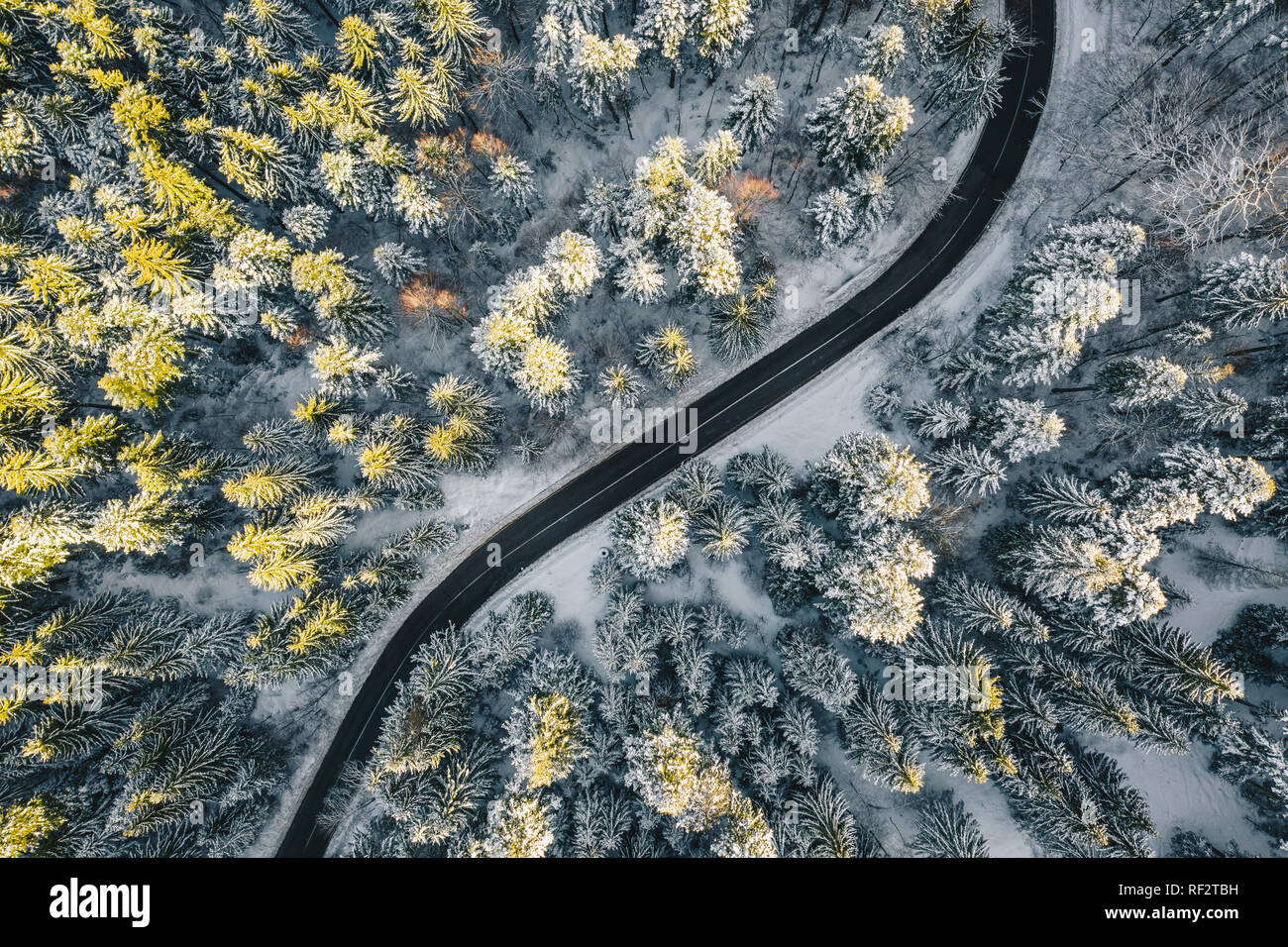 Empty road trough a forest in winter season Stock Photo - Alamy