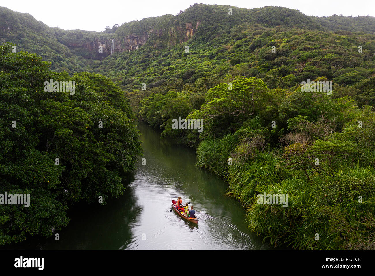 Family paddling in a canoe on a river in tropical rainforest, Japan ...