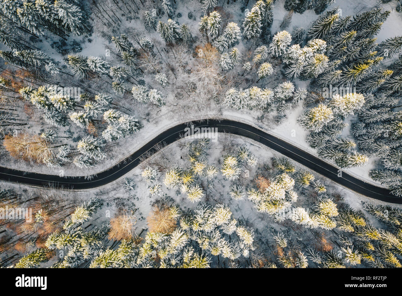 Road surrounded by trees hi-res stock photography and images - Alamy
