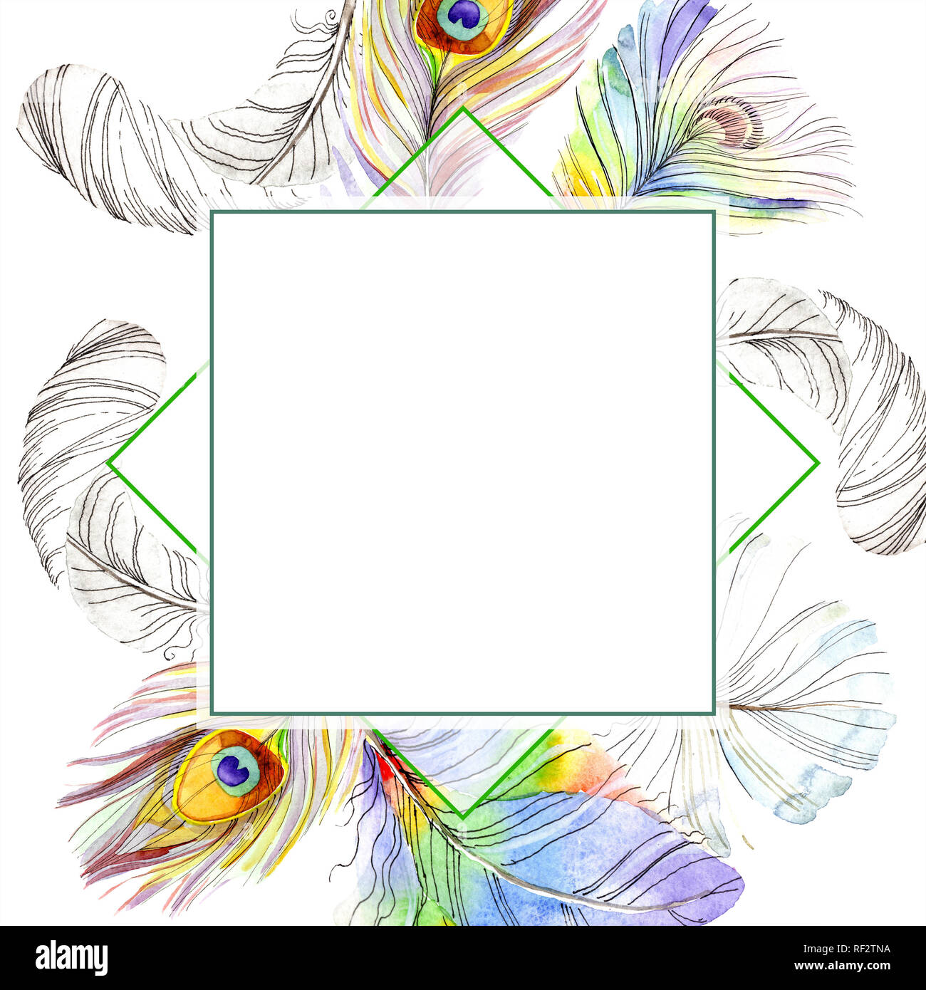 Colorful bird feather from wing isolated. Aquarelle feather for frame ...