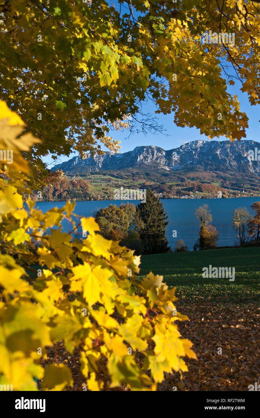 Attersee, Attergau, Salzkammergut Stock Photo - Alamy