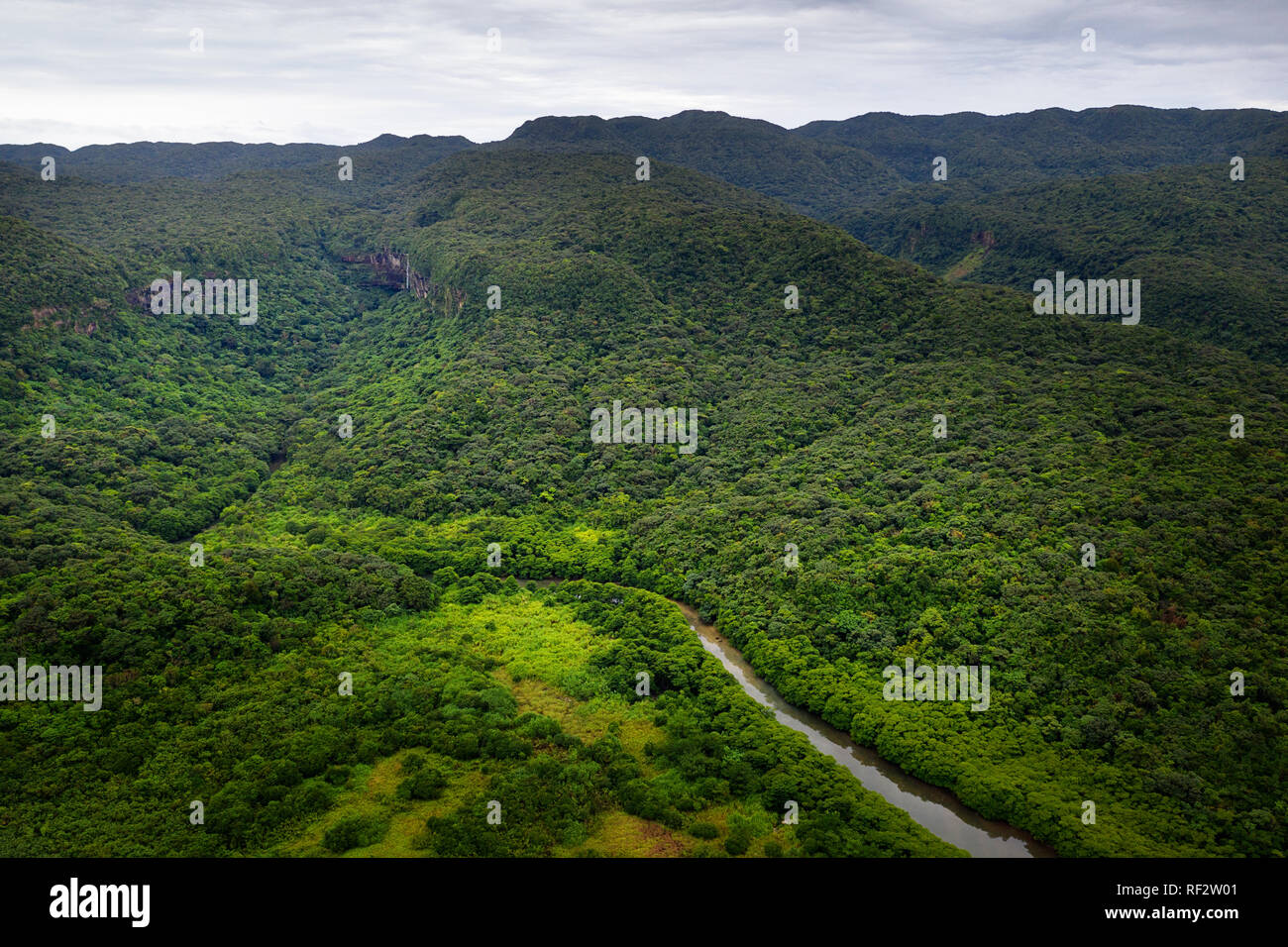 Tropical rainforest river aerial view hi-res stock photography and ...