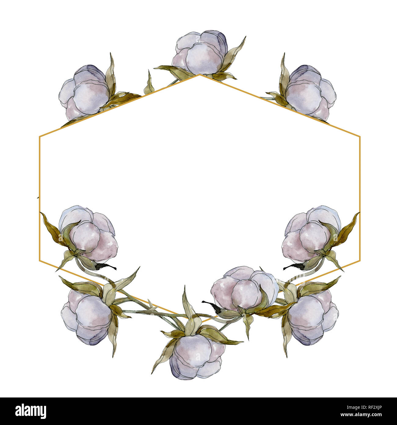 White cotton floral botanical flower. Wild spring leaf wildflower ...