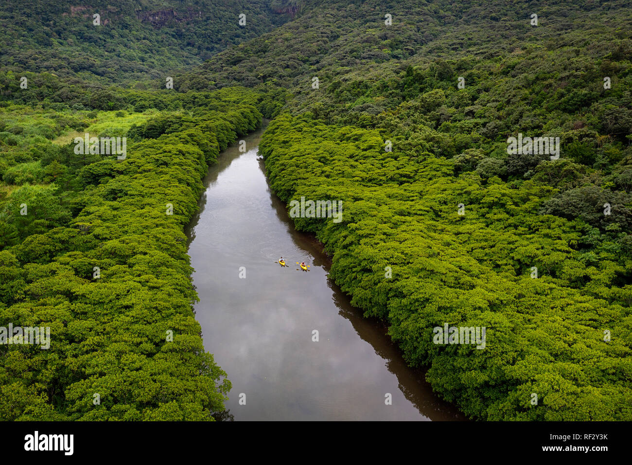 Couple of kayakers paddling in a canoe on a river in tropical ...