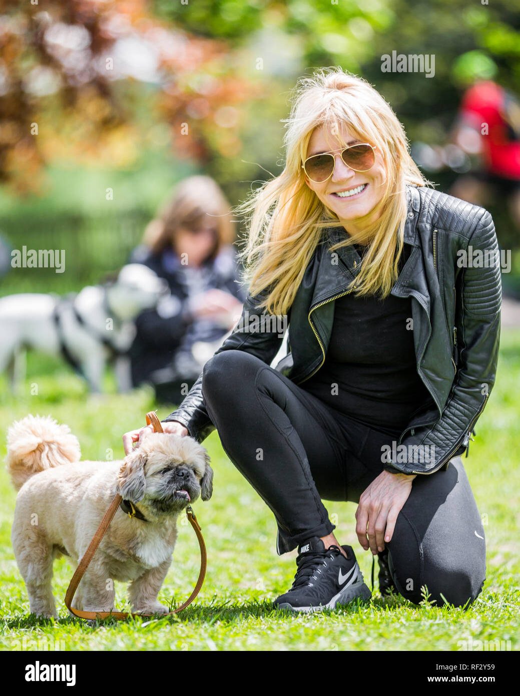 Hot dog contest judge hi-res stock photography and images - Alamy