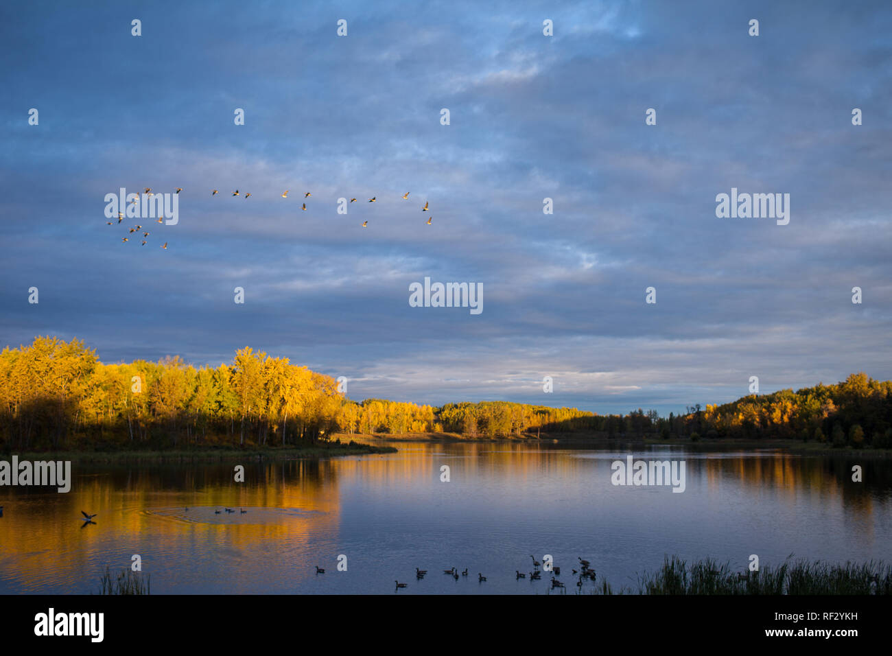 Morning sun touches tops hi-res stock photography and images - Alamy