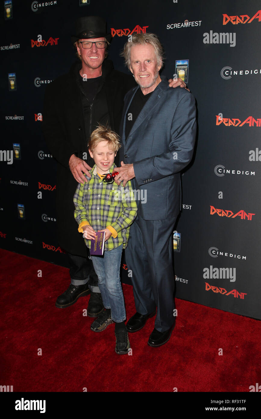 Luke Sampson Busey Where High Resolution Stock Photography and Images ...