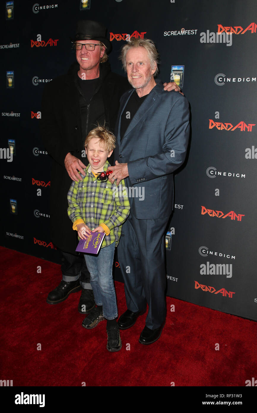 Los Angeles, CA, USA. 22nd Jan, 2019. 22 January 2019 - Hollywood ...