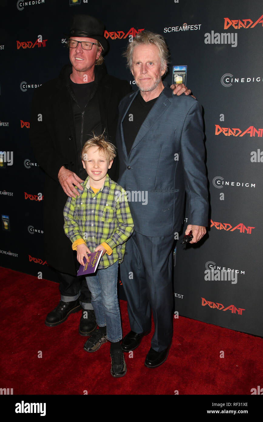 Los Angeles, CA, USA. 22nd Jan, 2019. 22 January 2019 - Hollywood ...