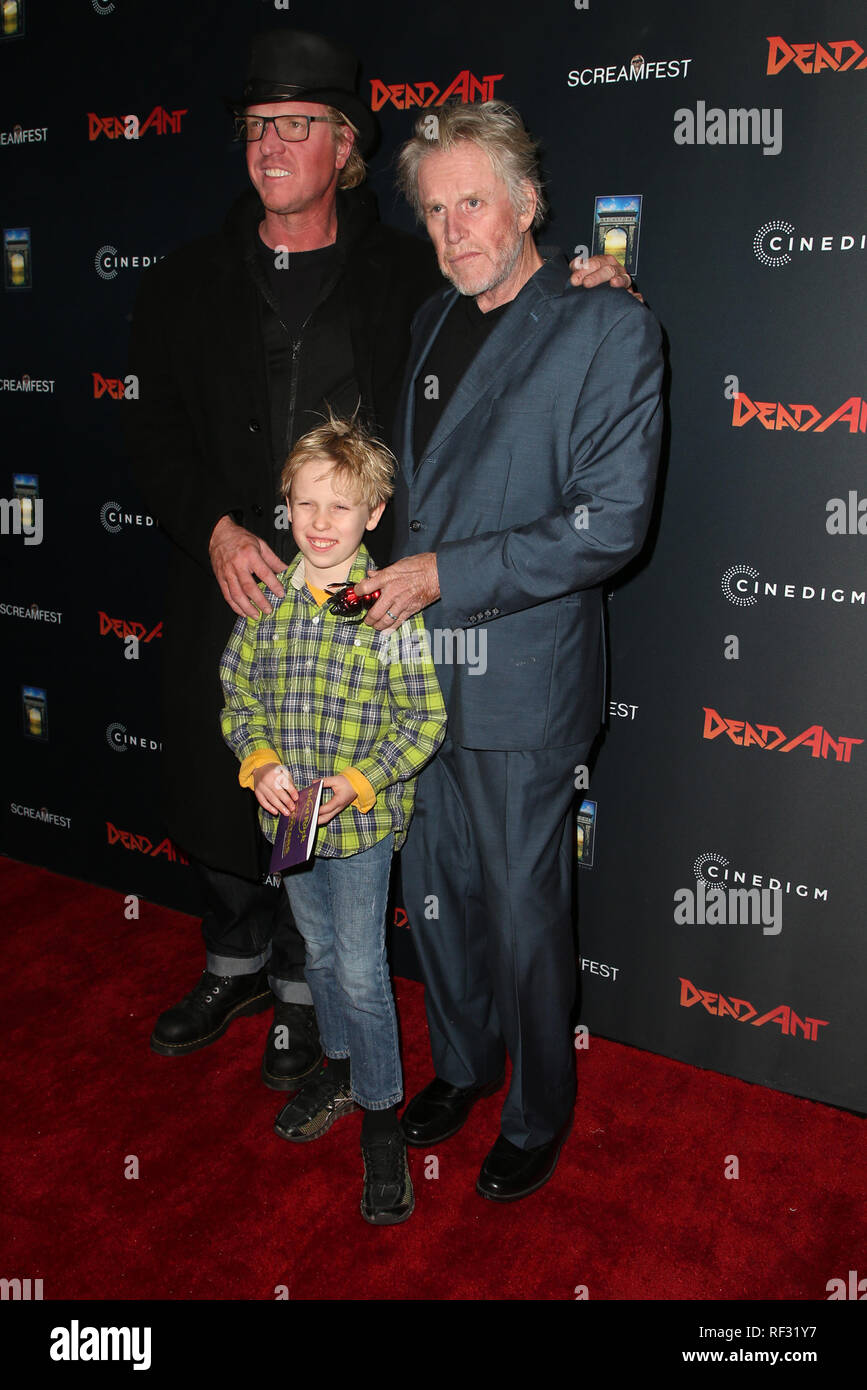 Luke sampson busey where hi-res stock photography and images - Alamy