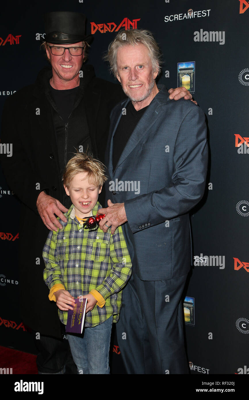 Luke sampson busey where hi-res stock photography and images - Alamy