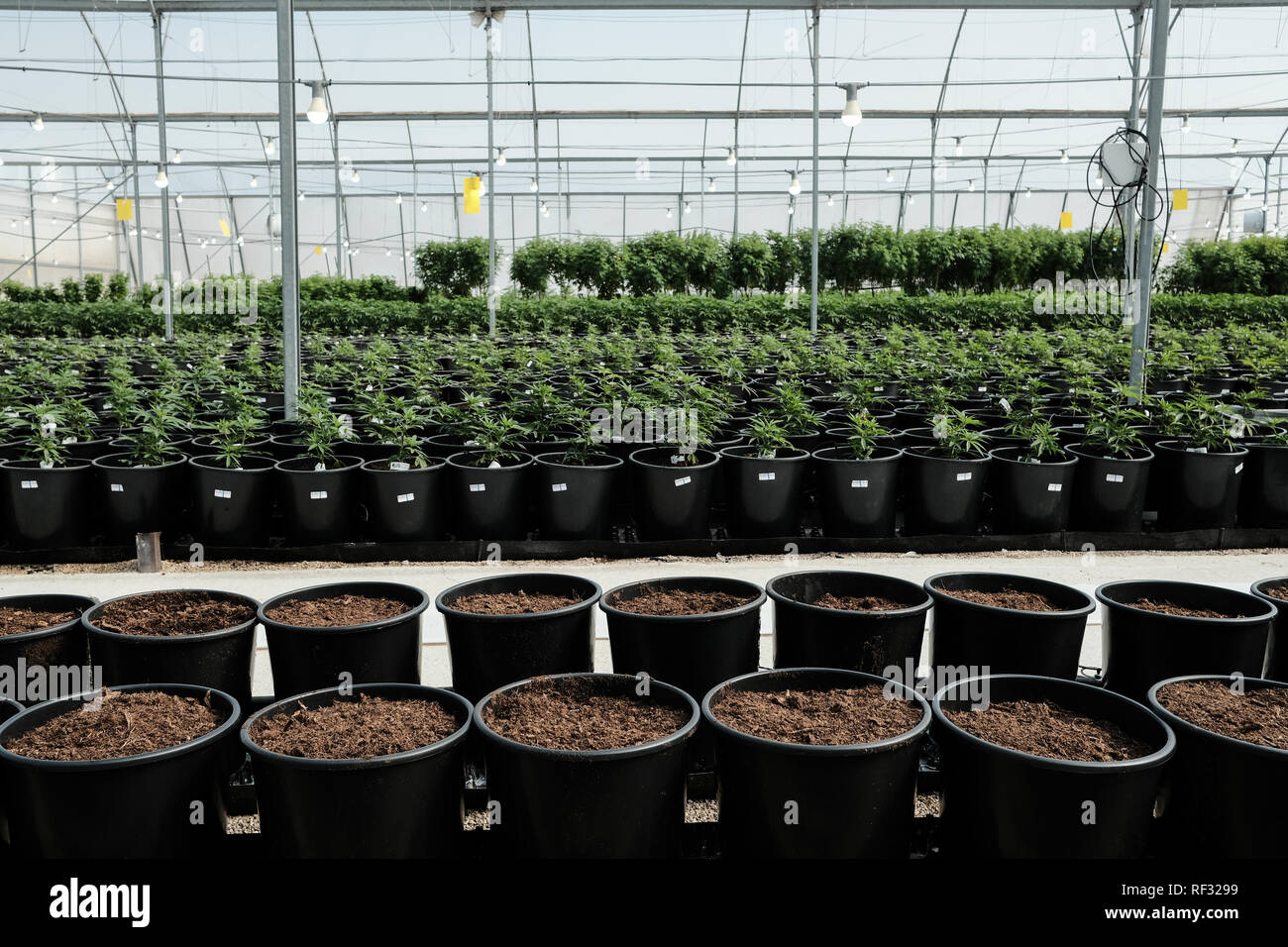 Greenhouse agriculture israeli hi-res stock photography and images - Alamy