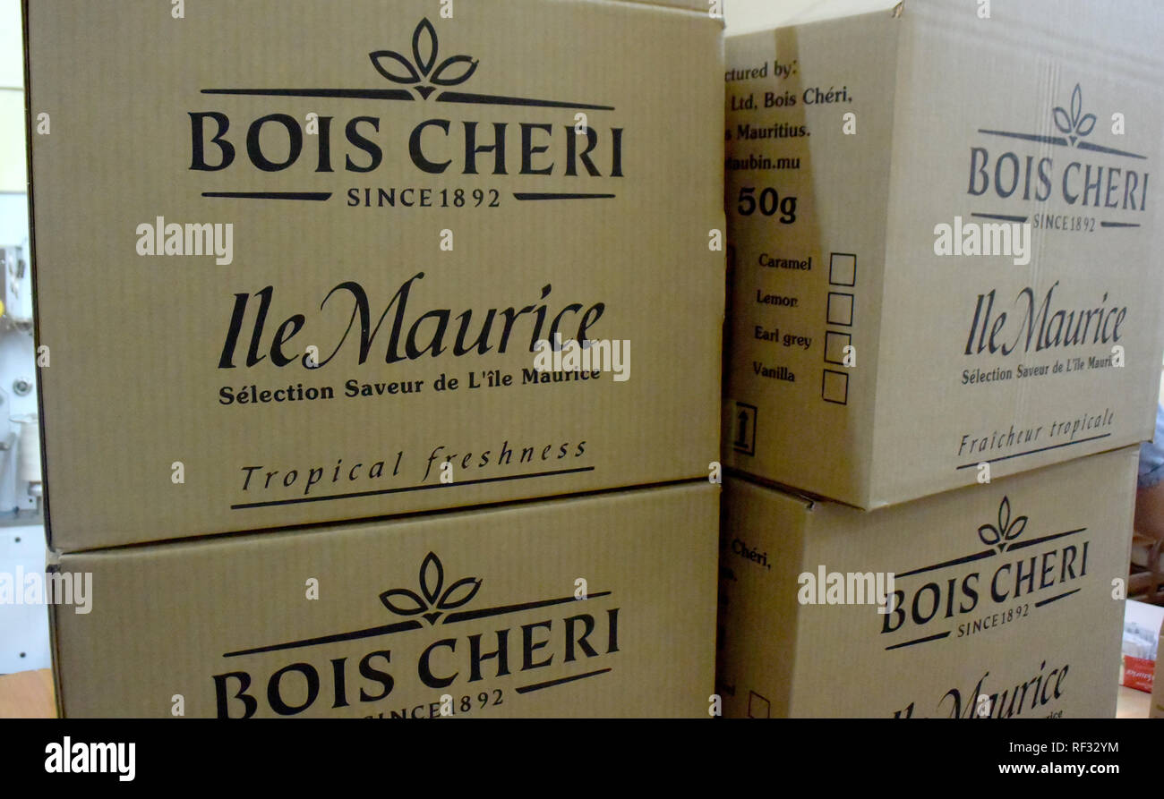 14 November 2017, Mauritius, Bois Cheri: Cartons of tea packs are ...
