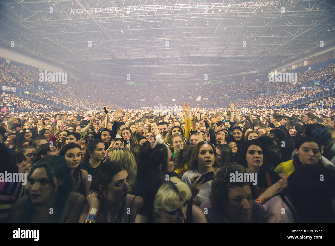 The 1975 Concert Crowd