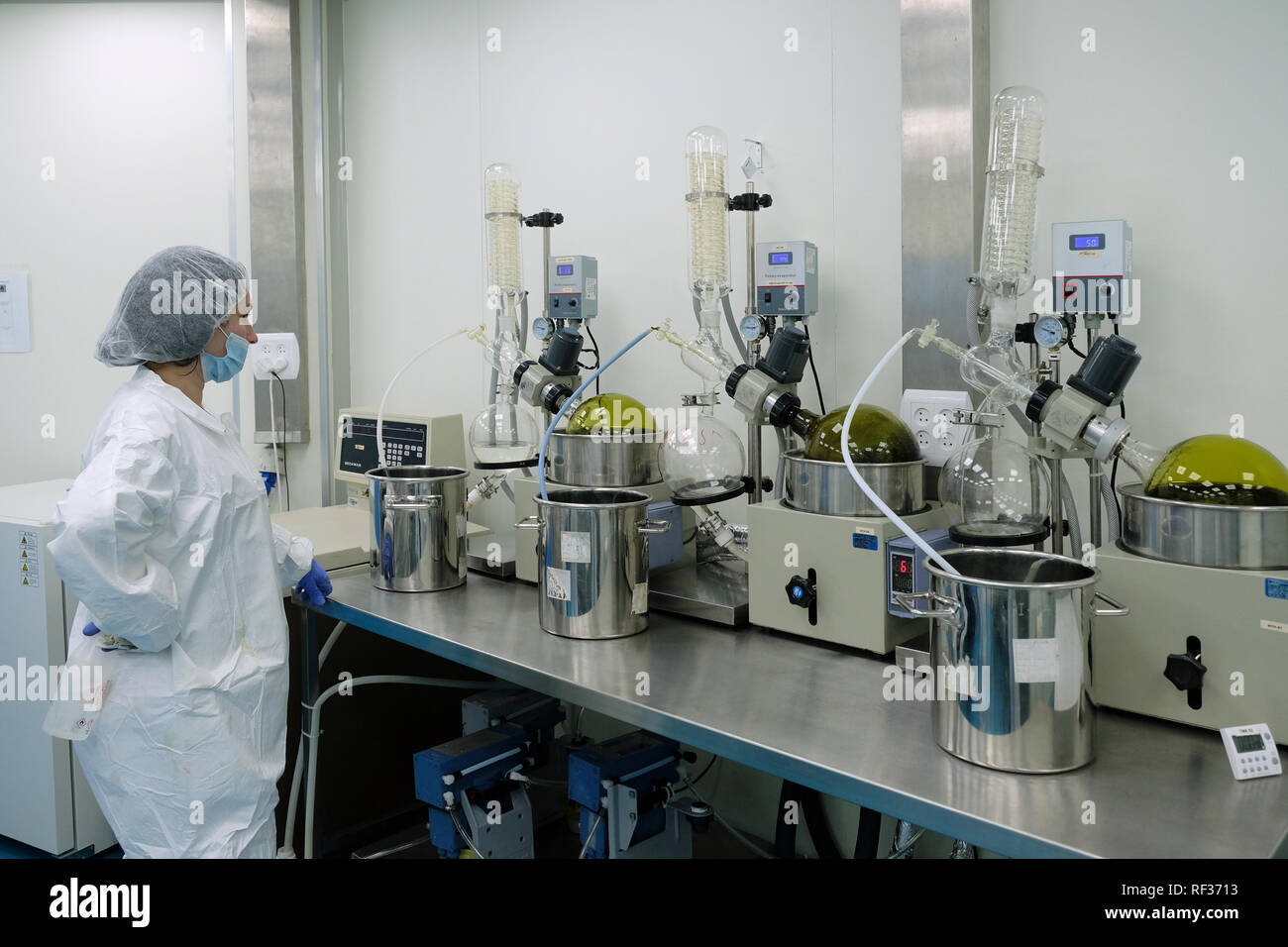 Laboratory technician working on cannabis extract for medical purposes ...
