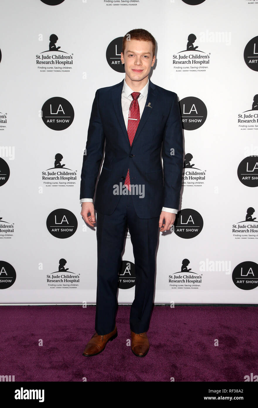 Los Angeles, Ca, USA. 23rd Jan, 2019. Cameron Monaghan, at the LA Art ...