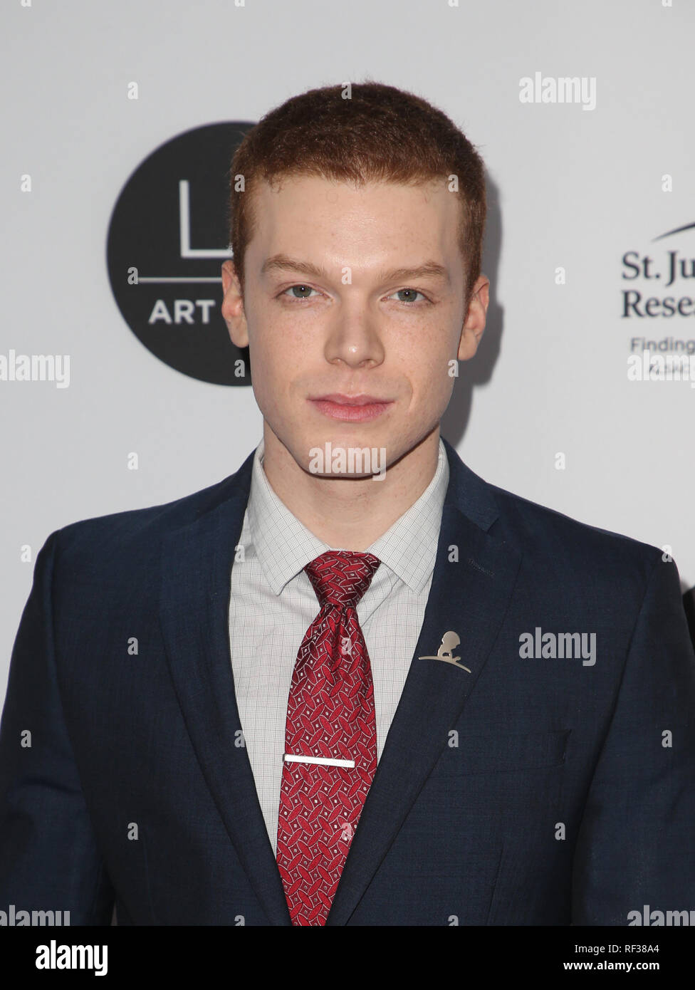 Los Angeles, Ca, USA. 23rd Jan, 2019. Cameron Monaghan, at the LA Art ...