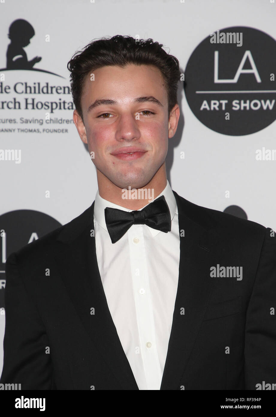 Los Angeles, Ca, USA. 23rd Jan, 2019. Cameron Dallas, at the LA Art ...