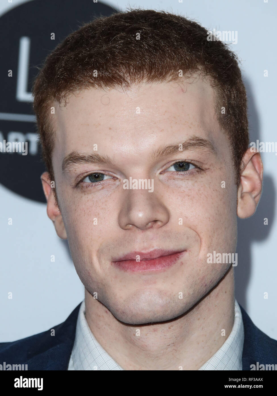 Los Angeles, California, USA. 23rd January, 2019. Actor Cameron ...