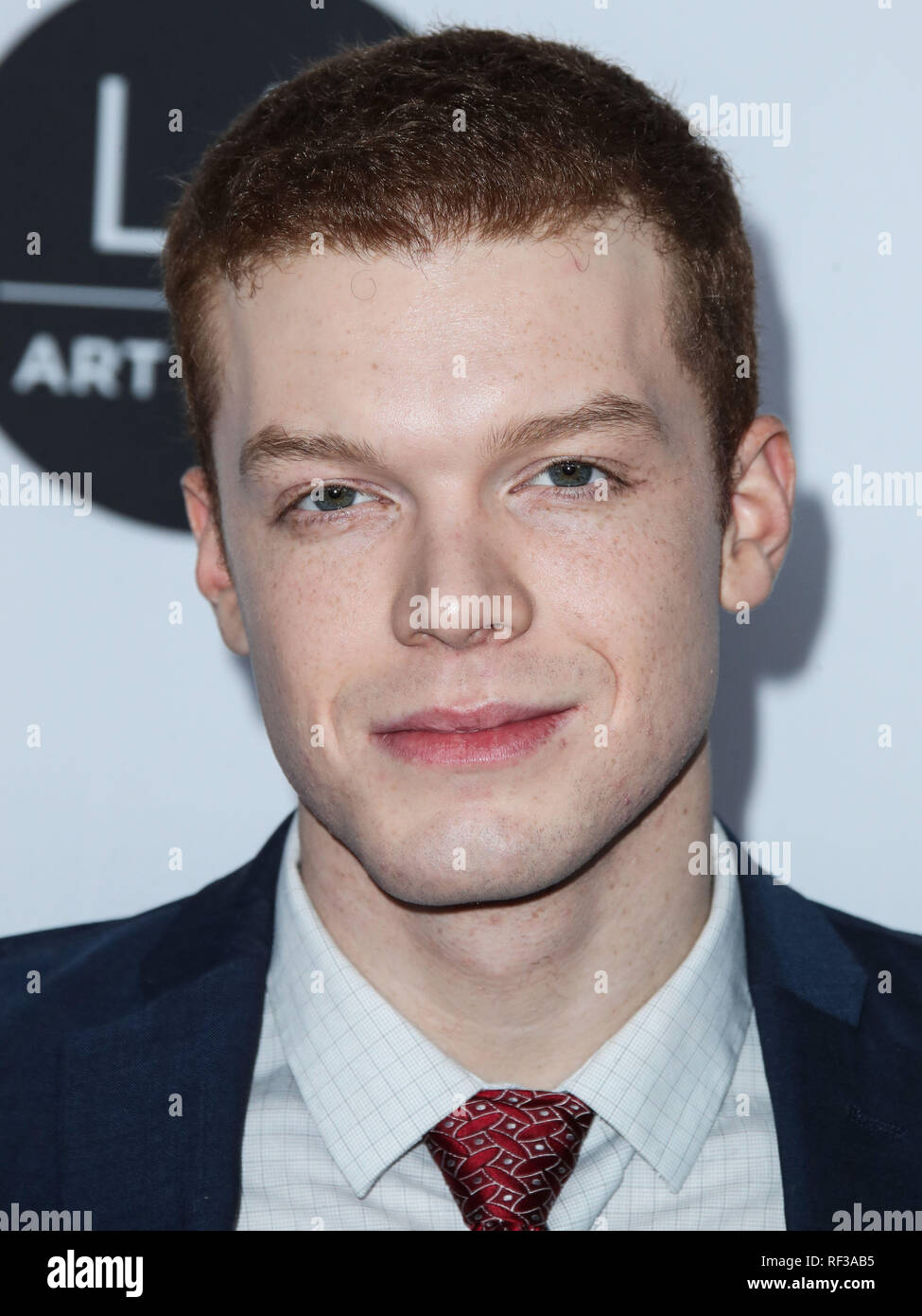 Los Angeles, California, USA. 23rd January, 2019. Actor Cameron ...