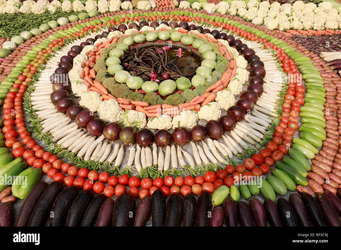 Dhaka, Bangladesh. 24th Jan, 2019. DHAKA, BANGLADESH - JANUARY 24, 2019 ...