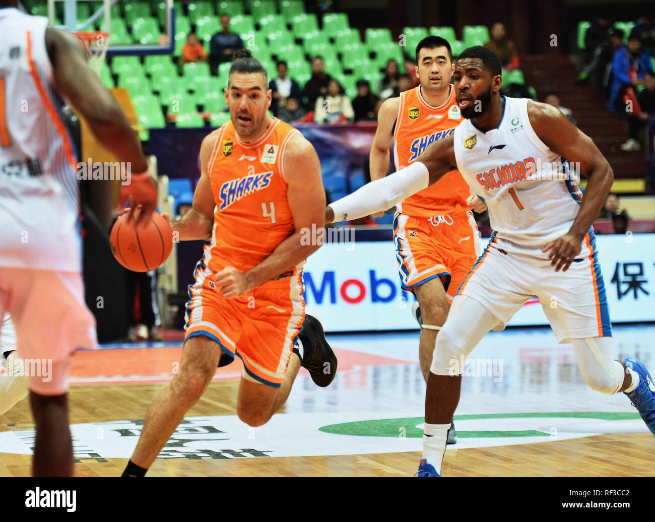 2019 106 jpg hi-res stock photography and images - Alamy