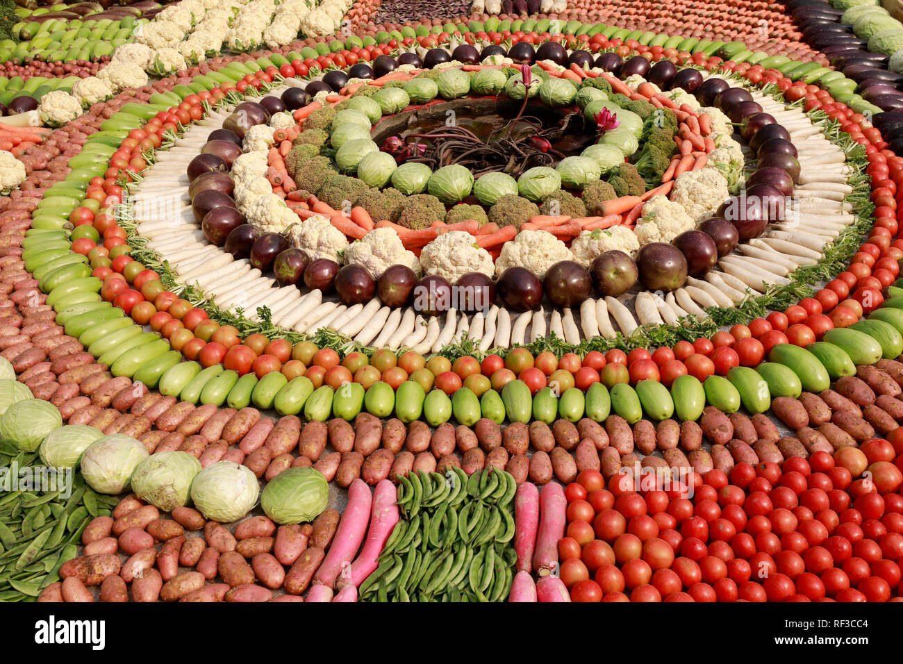 Dhaka, Bangladesh. 24th Jan, 2019. DHAKA, BANGLADESH - JANUARY 24, 2019 ...