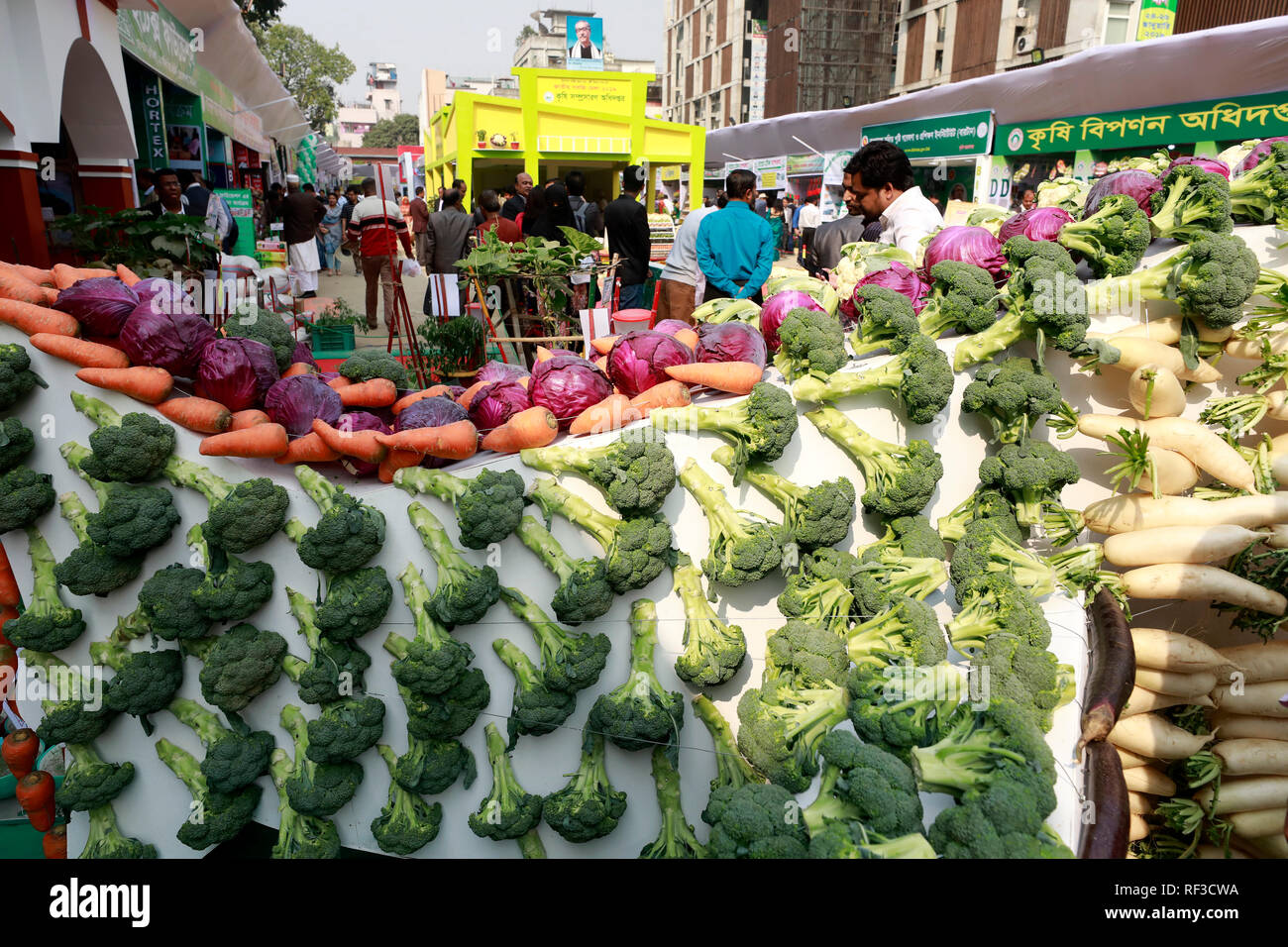 Dhaka, Bangladesh. 24th Jan, 2019. DHAKA, BANGLADESH - JANUARY 24, 2019 ...