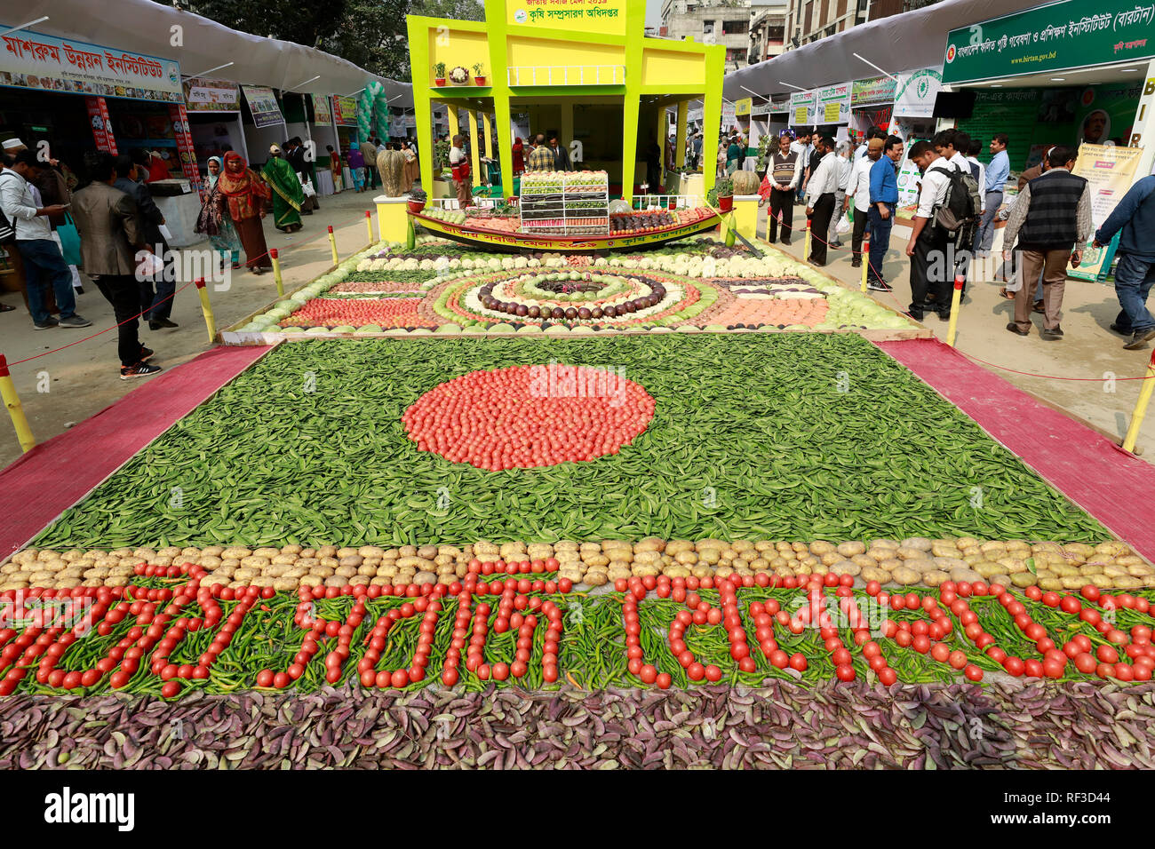 Dhaka, Bangladesh. 24th Jan, 2019. DHAKA, BANGLADESH - JANUARY 24, 2019 ...