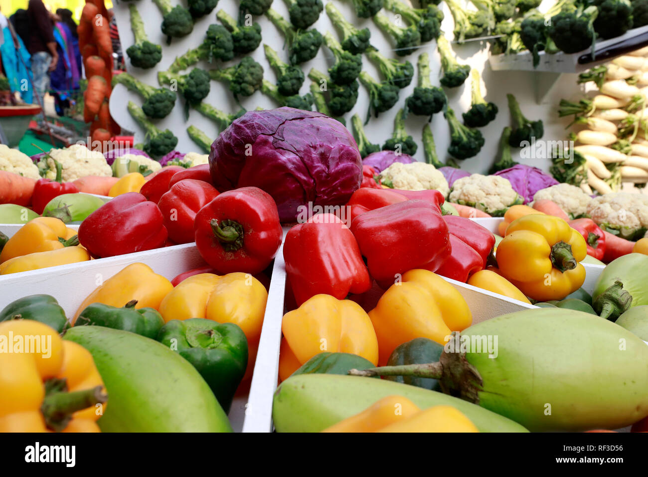 Dhaka, Bangladesh. 24th Jan, 2019. DHAKA, BANGLADESH - JANUARY 24, 2019 ...