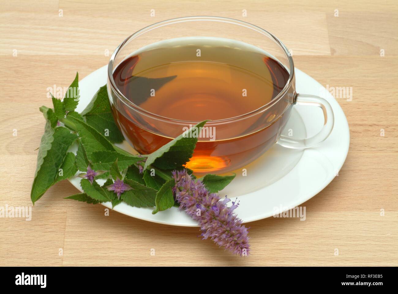 Giant tea cup hi-res stock photography and images - Alamy