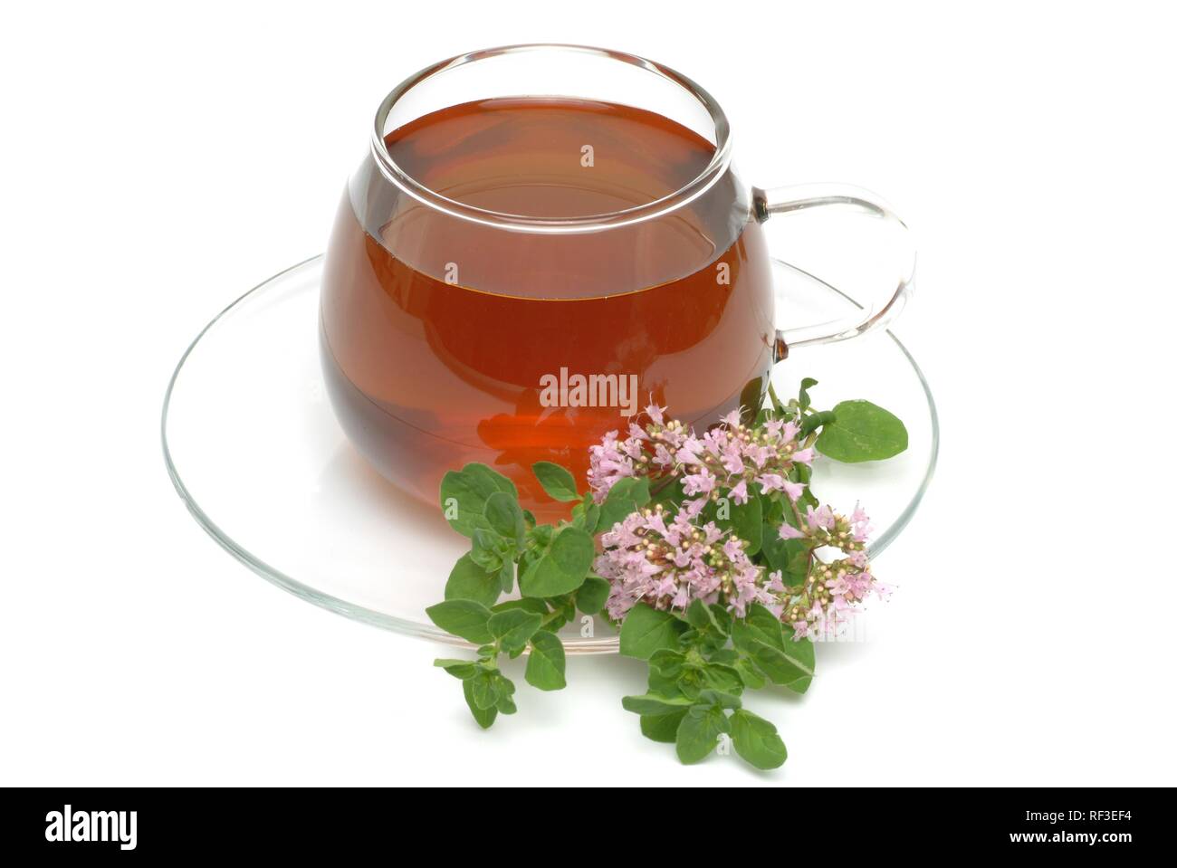 Origanum Vulgare Food High Resolution Stock Photography and Images - Alamy
