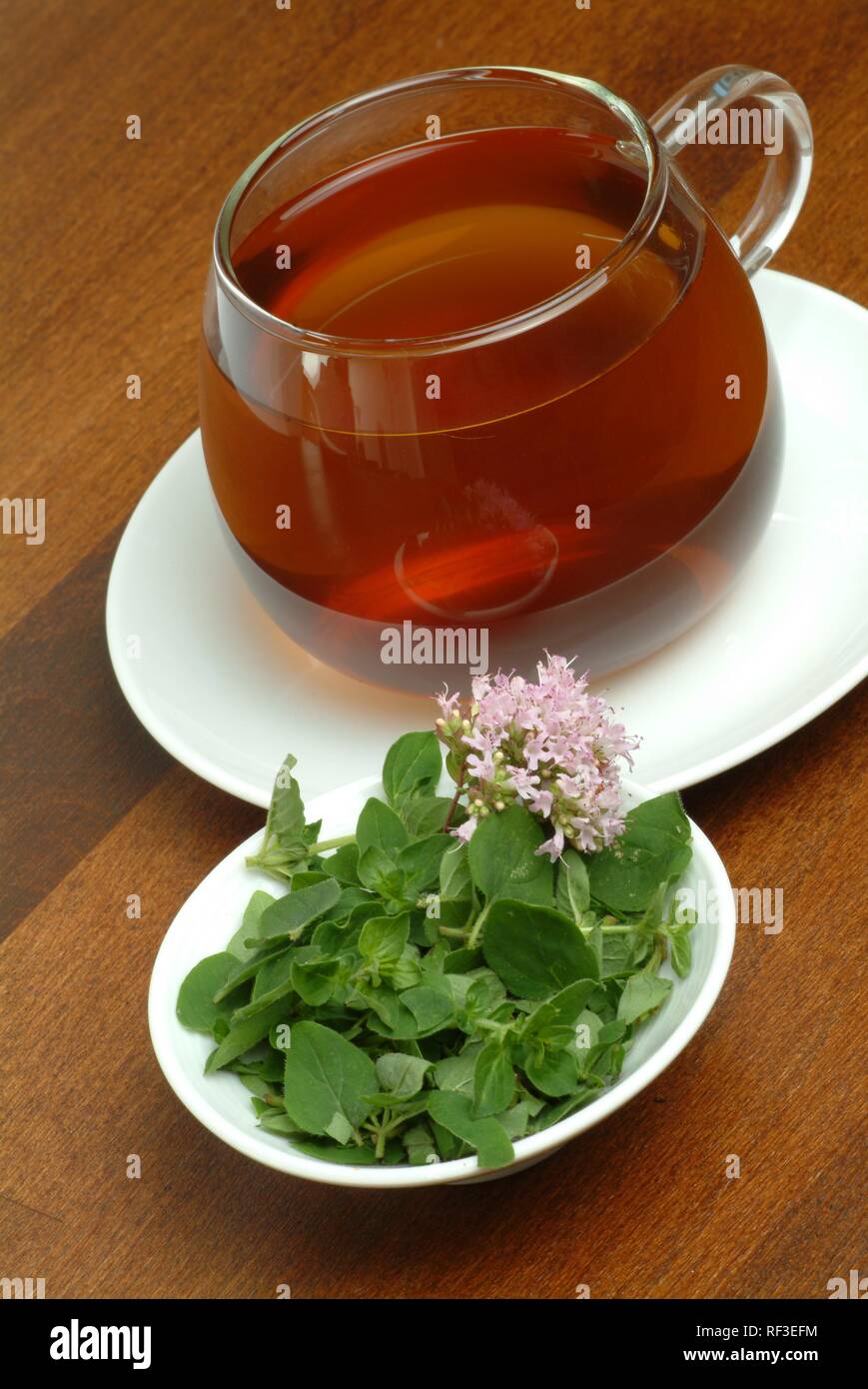 Oregano plant pot hi-res stock photography and images - Alamy