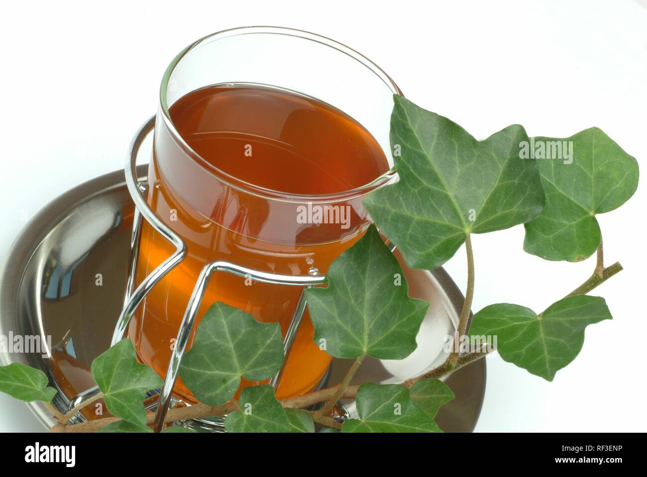 English ivy (hedera helix) indoors hi-res stock photography and images ...