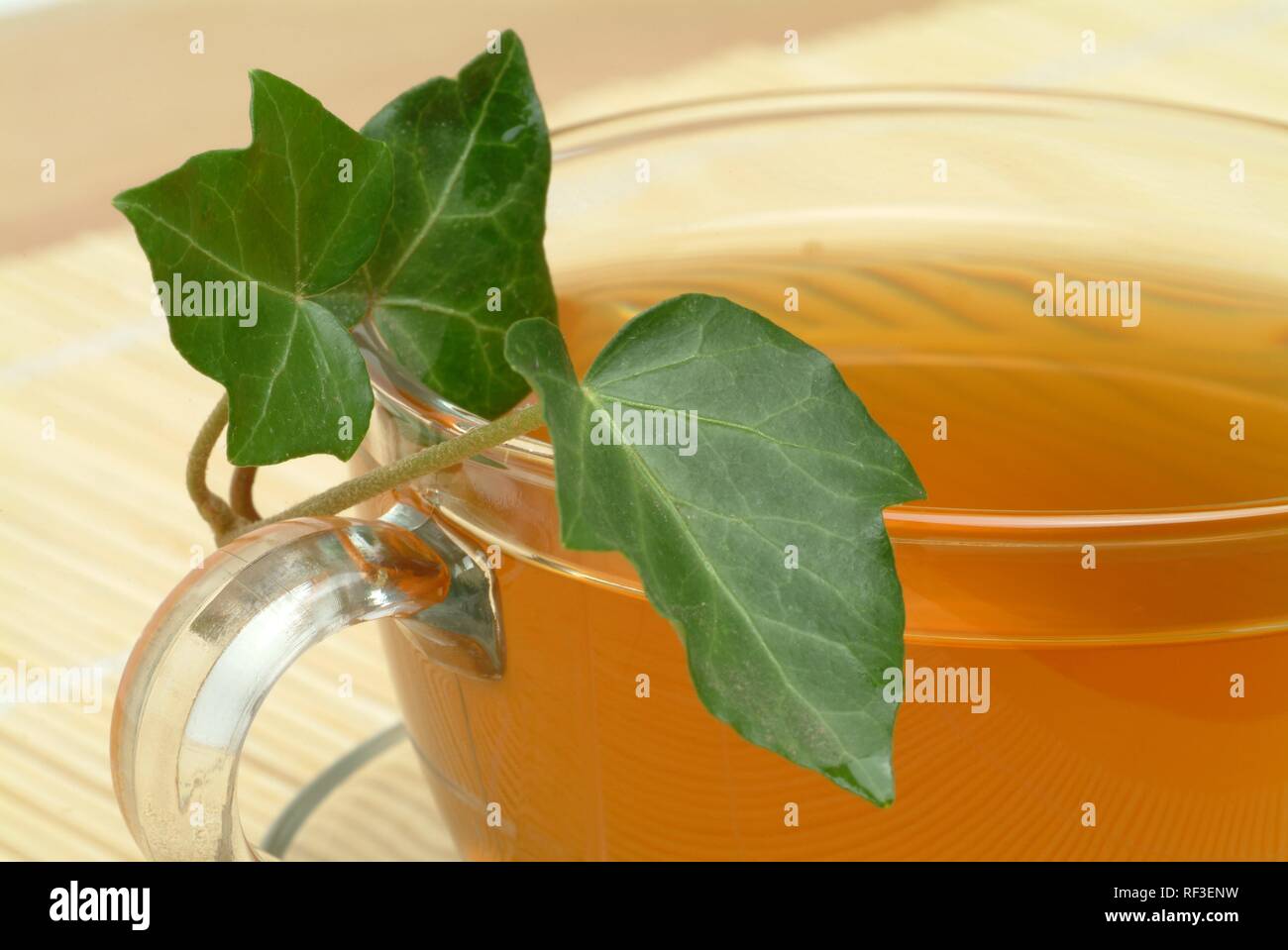 Up close shot hedera helix hi-res stock photography and images - Alamy