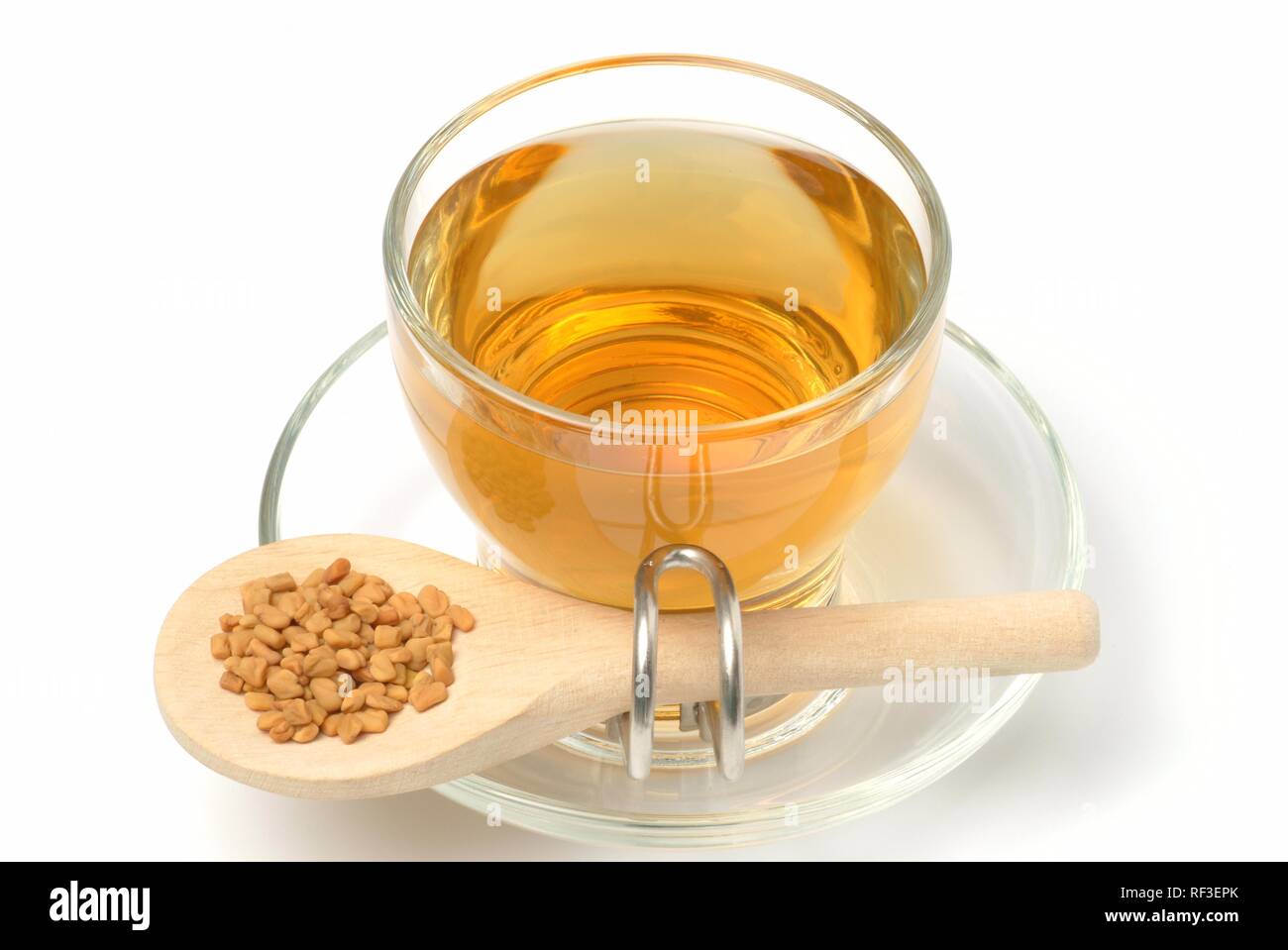 Fenugreek (Trigonella foenum-graecum) herbal tea, medicinal tea Stock ...